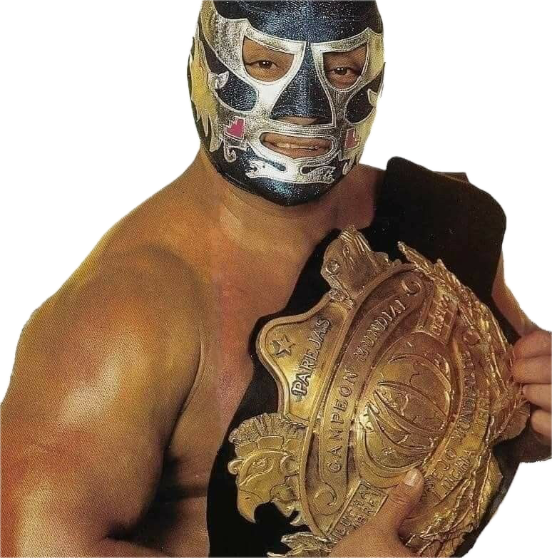 All Canek Wrestling Action Figures – Wrestling Figure Database