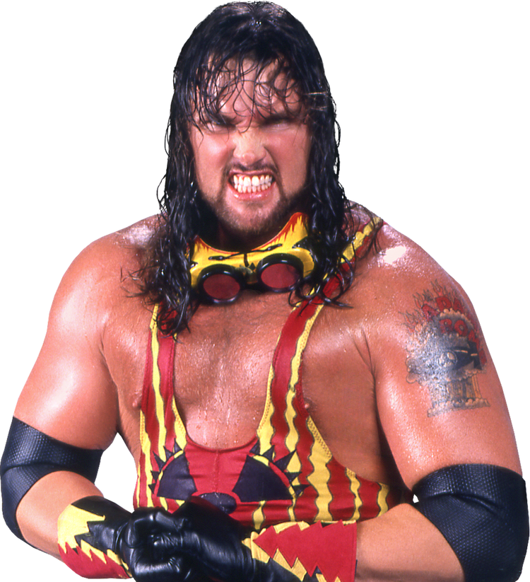 Collections – Wrestling Figure Database
