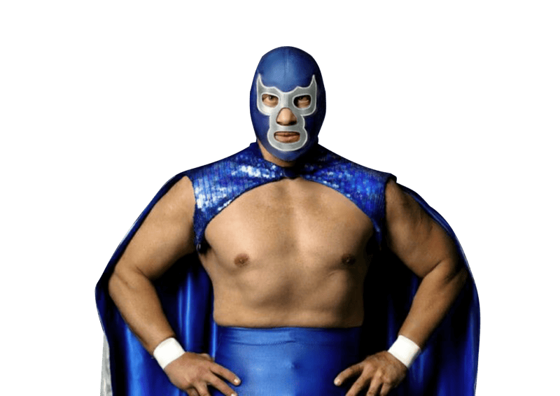 All Blue Demon Wrestling Action Figures – Wrestling Figure Database