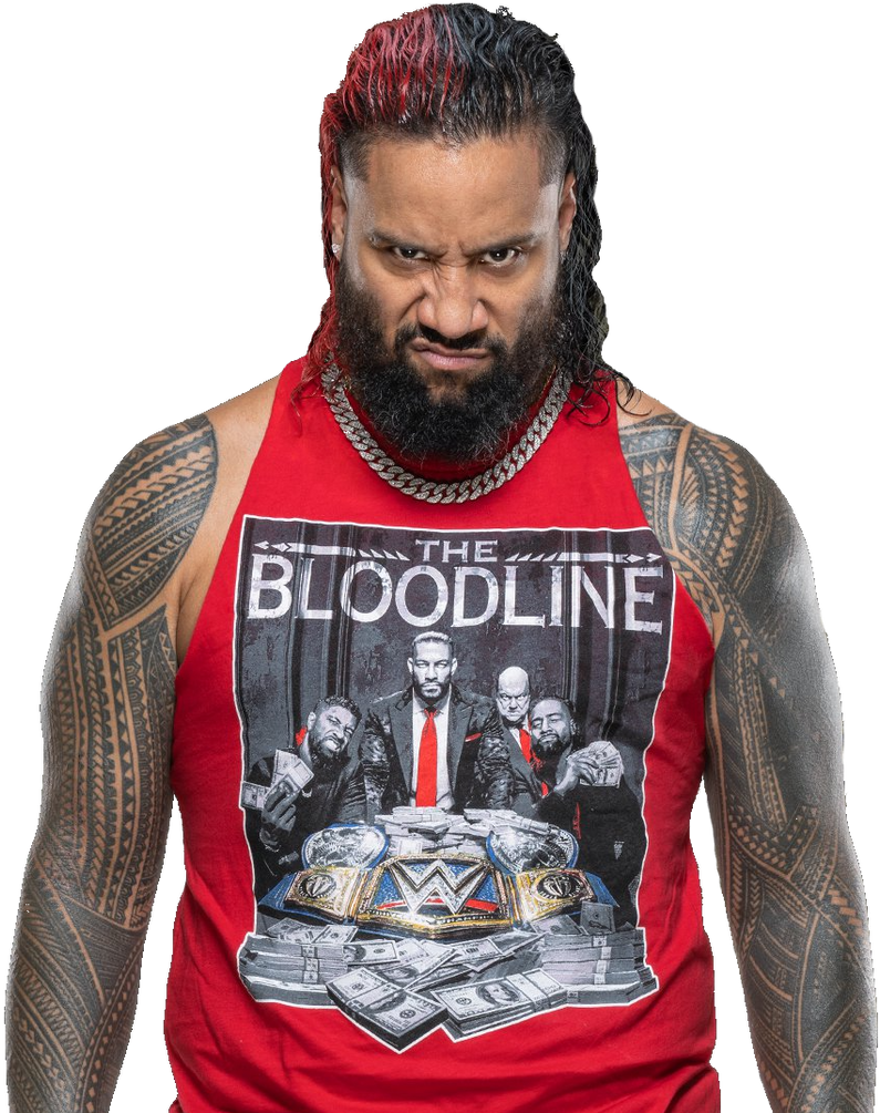 All Jimmy Uso Wrestling Action Figures – Wrestling Figure Database