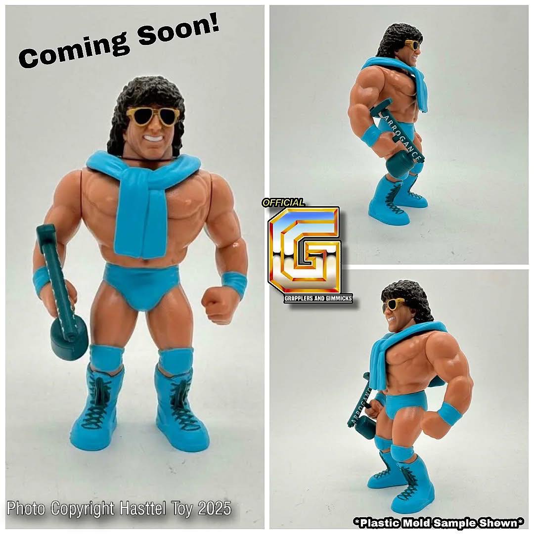 2025 Hasttel Toy Grapplers & Gimmicks Limited Edition Rick "The Model ...
