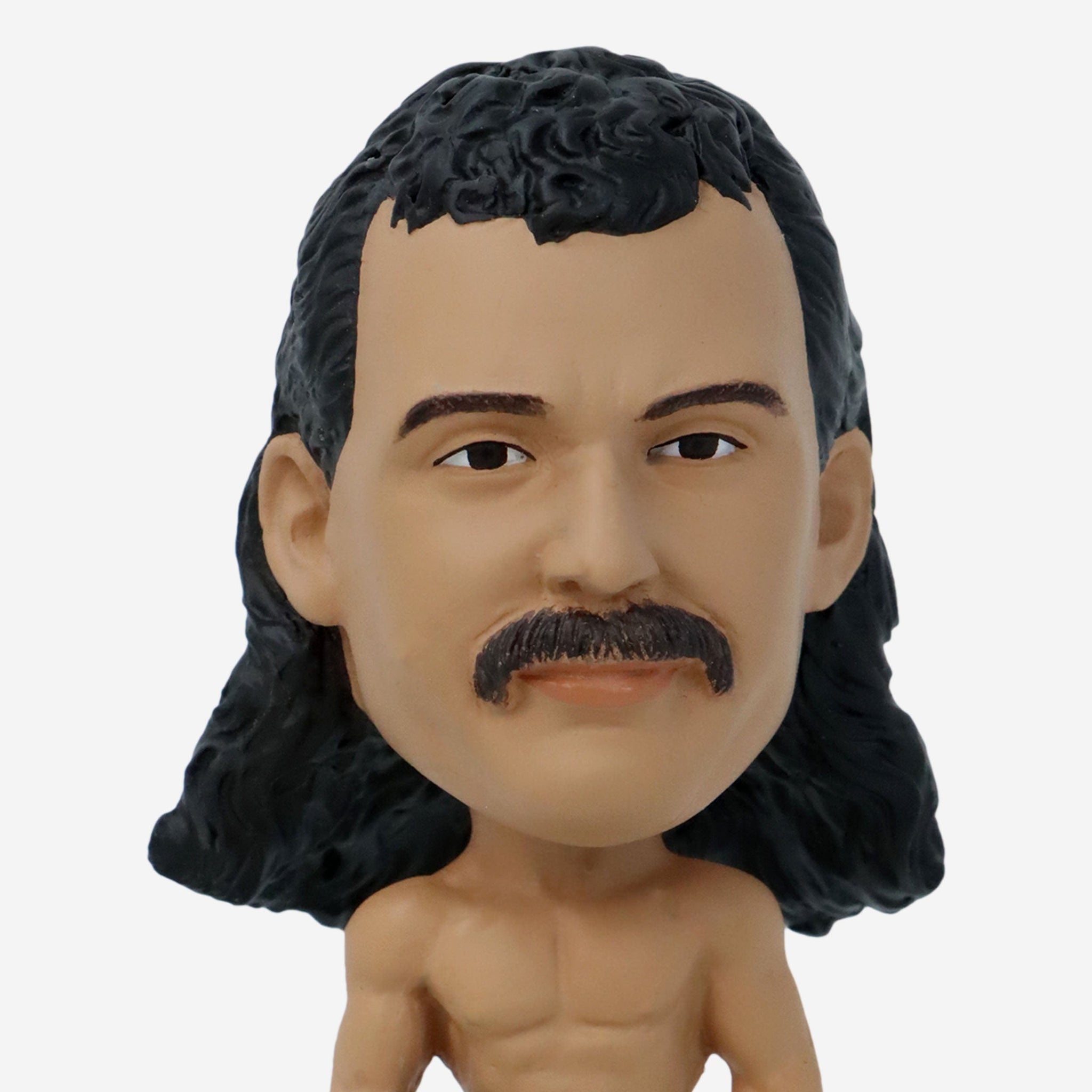 2024 WWE FOCO Mini Bighead Bobblehead Jake "The Snake" Roberts ...