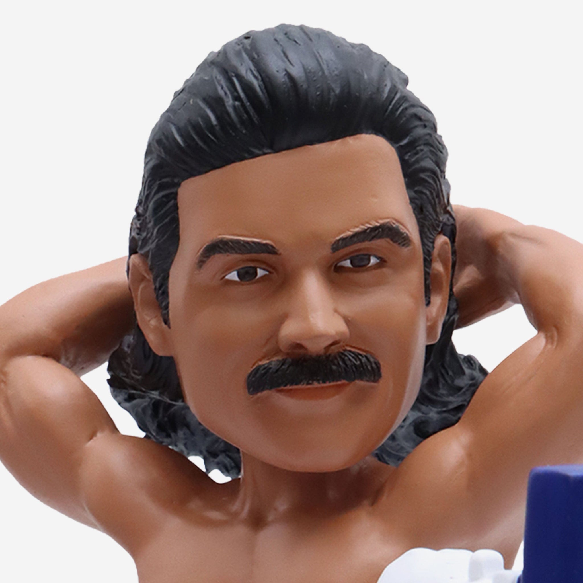 2024 WWE FOCO Bobbleheads Limited Edition "Ravishing" Rick Rude ...