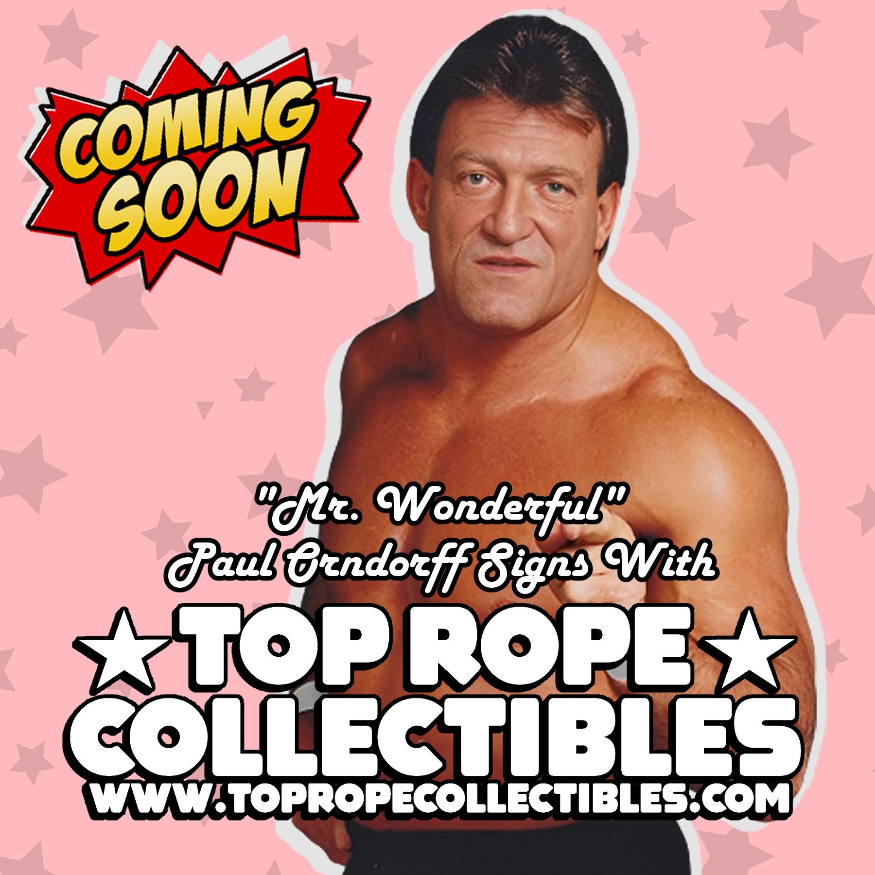 Top Rope Collectibles "Mr. Wonderful" Paul Orndorff – Wrestling Figure ...