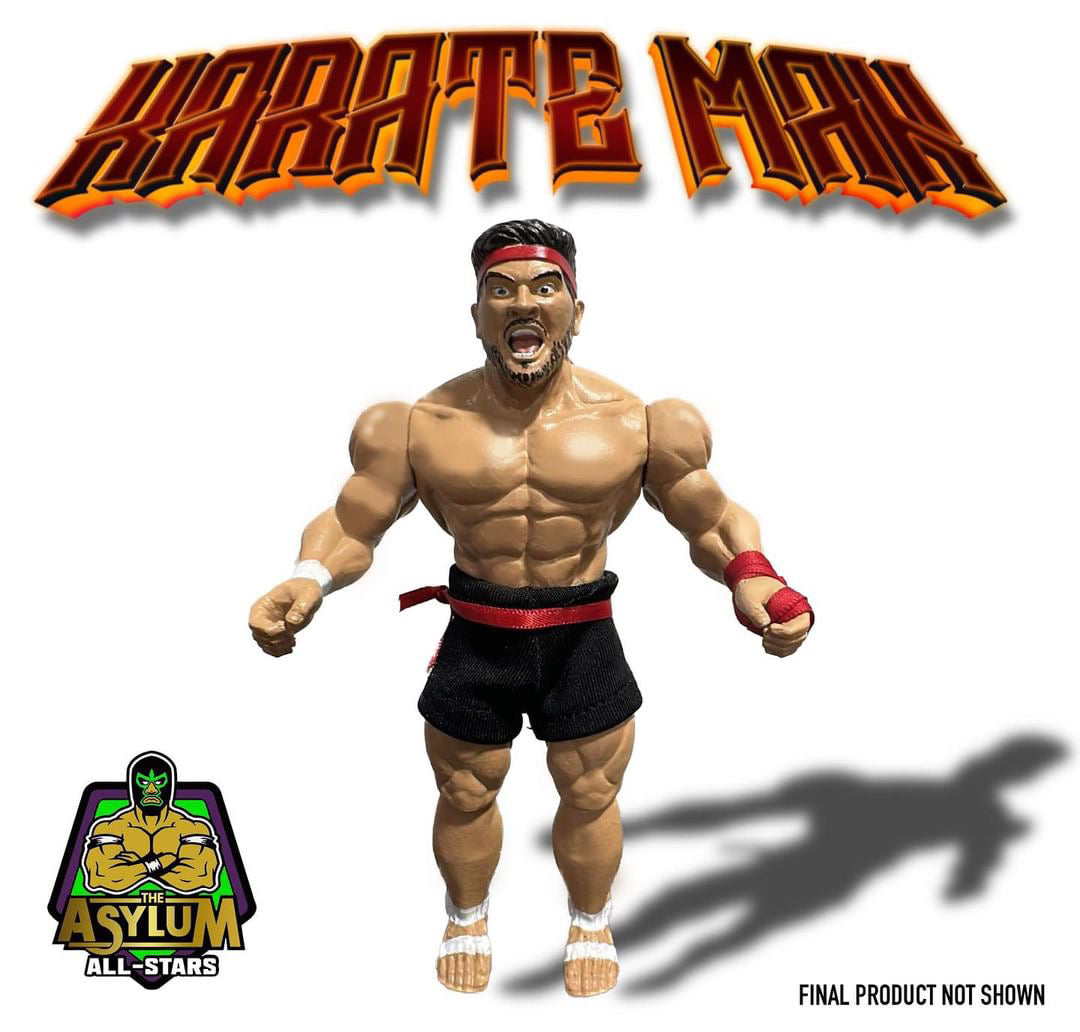 Asylum All-Stars Toy Hunt Vlog Exclusive Karate Man – Wrestling Figure ...