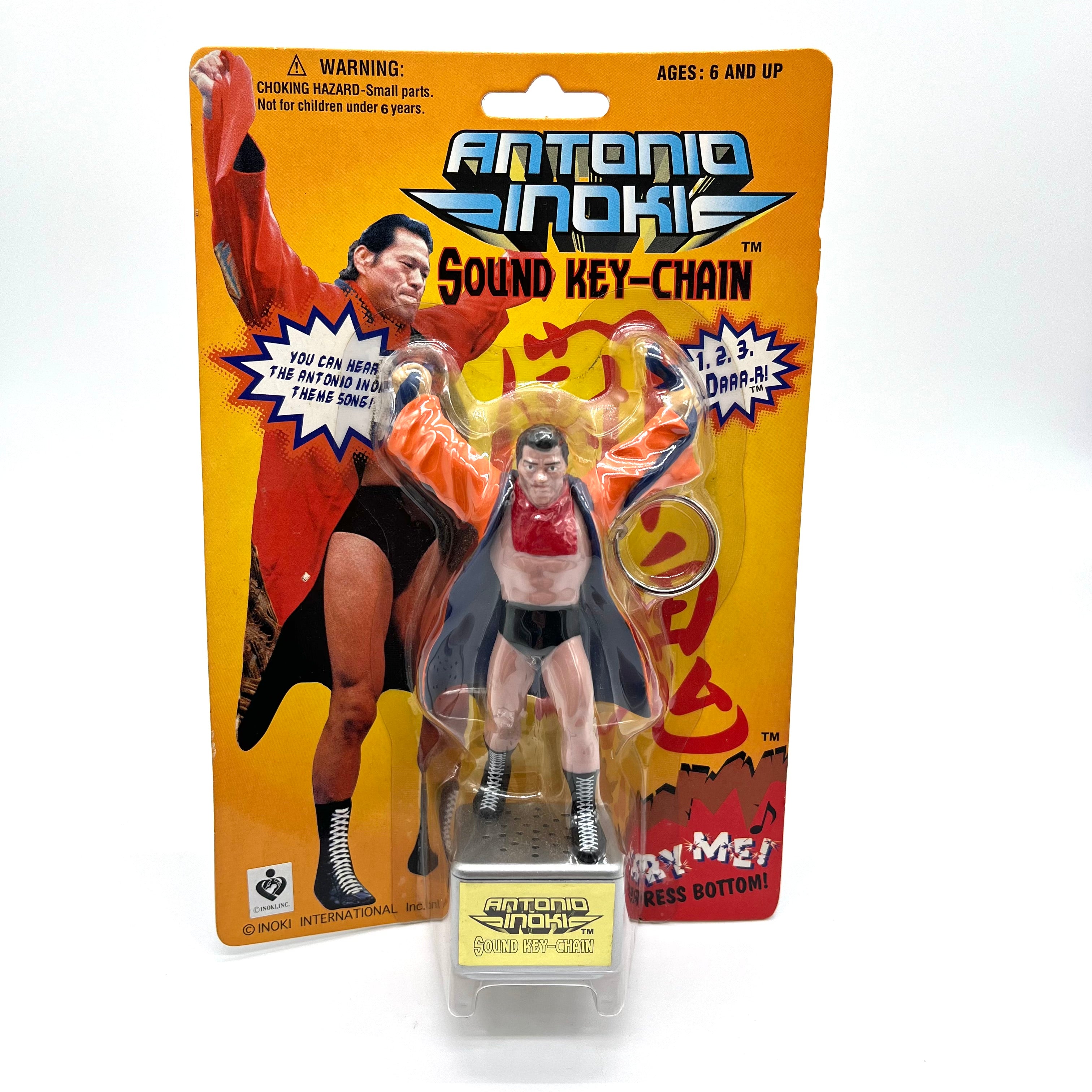 Iwaya – Wrestling Figure Database