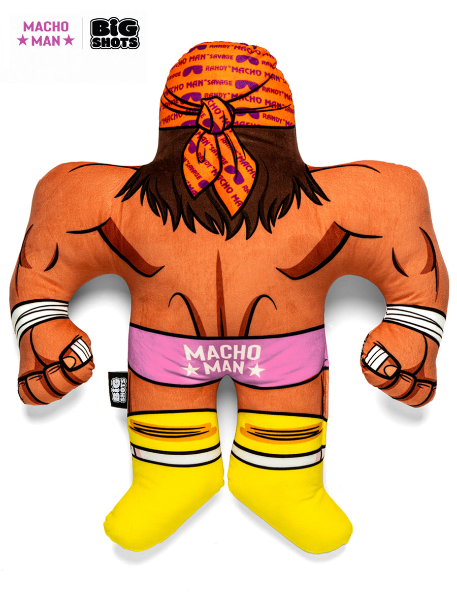 Big Shots – Wrestling Figure Database