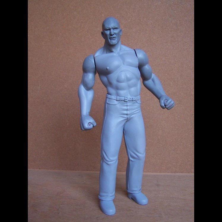 Unreleased WWF Jakks Pacific Ripped & Ruthless Series 3 Stone Cold Ste ...