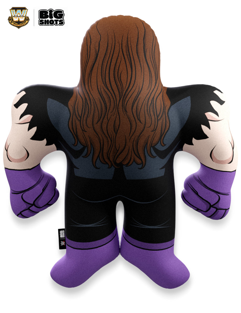 Big Shots WWE – Wrestling Figure Database