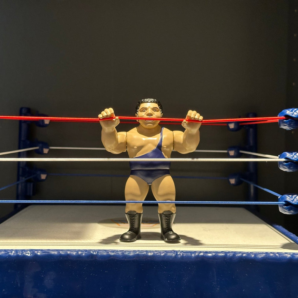 2025 LaToonie Wrestling Wrestlematic Series 2 4.5" Scale Andre the Gia ...