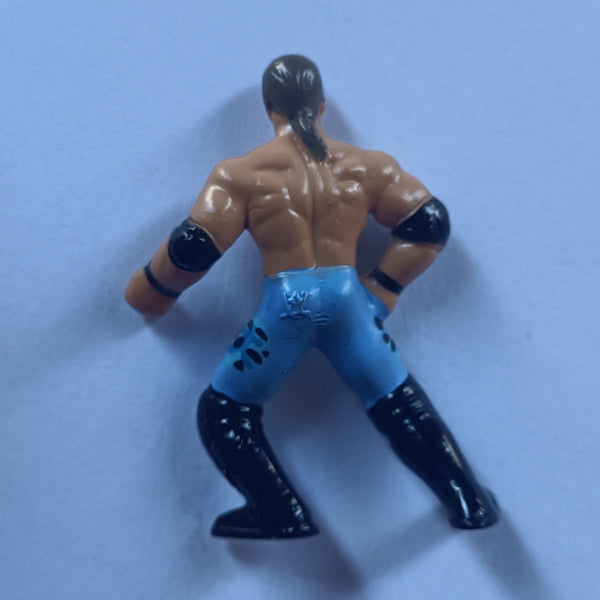 2005 WWE Dolci Preziosi Chris Jericho Mini Figure – Wrestling Figure ...