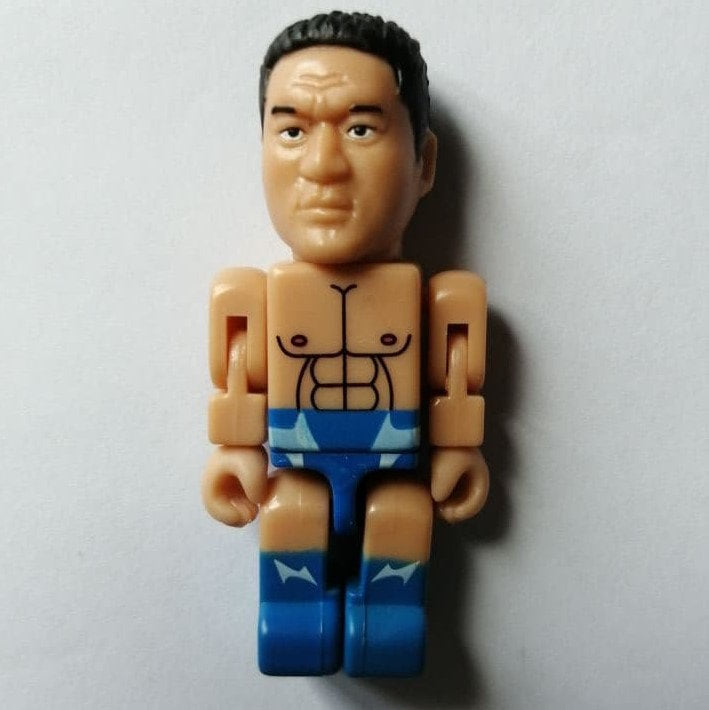 2002 NJPW Run'A Tinibiz Series 1 Yuji Nagata [In Ring Gear] – Wrestling ...